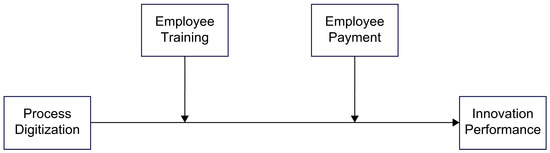 Can Process Digitization Improve Firm Innovation Performance? Process ...