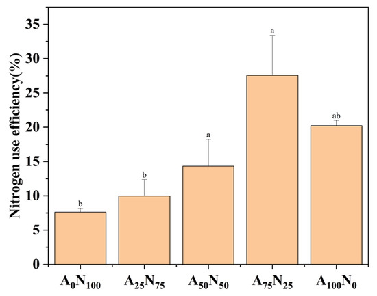 Optimizing Tomato Cultivation: Impact of Ammonium–Nitrate Ratios on ...