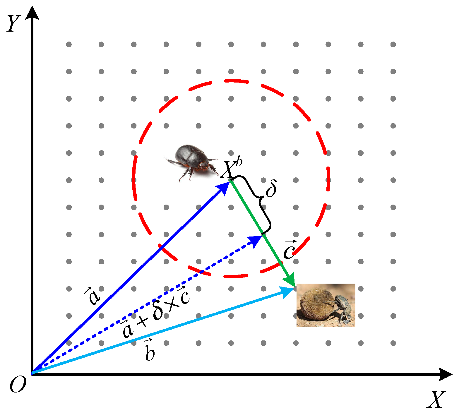 Short-Term Prediction of Rural Photovoltaic Power Generation Based on Improved Dung Beetle ...