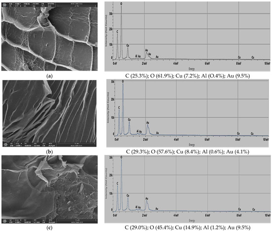 Novel Copper Alginate Microspheres as Ecological Fungicides