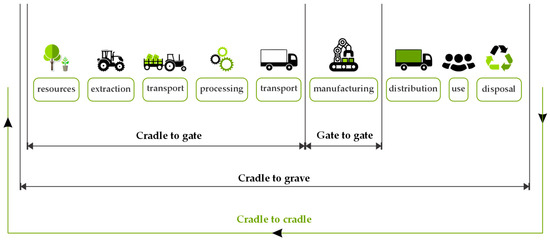 Environmental Impact of Footwear Using Life Cycle Assessment—Case Study ...