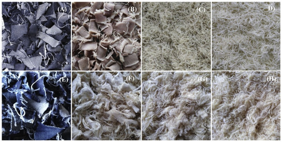 Recycling of Blended Fabrics for a Circular Economy of Textiles ...