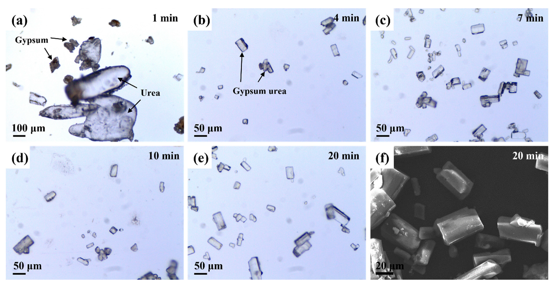 Preparation of Gypsum–Urea with Enhanced Sustainability from Flue Gas ...