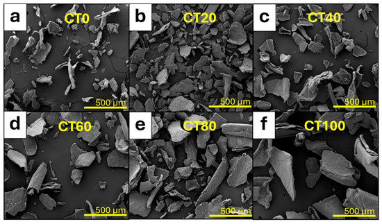 Effects of Gamma-Synthesized Chitosan on Morphological, Thermal, Mechanical, and Heavy-Metal ...