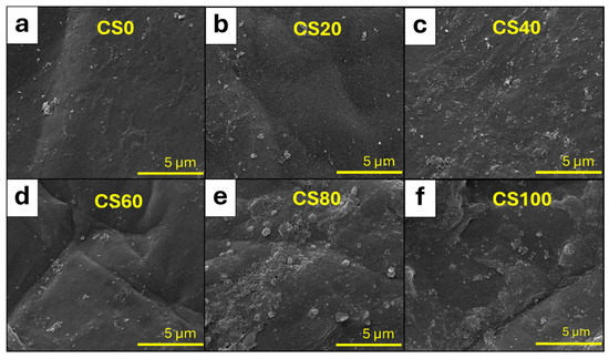 Effects of Gamma-Synthesized Chitosan on Morphological, Thermal, Mechanical, and Heavy-Metal ...