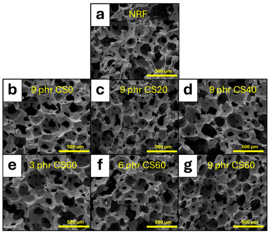 Sustainability | Free Full-Text | Effects of Gamma-Synthesized Chitosan on Morphological ...