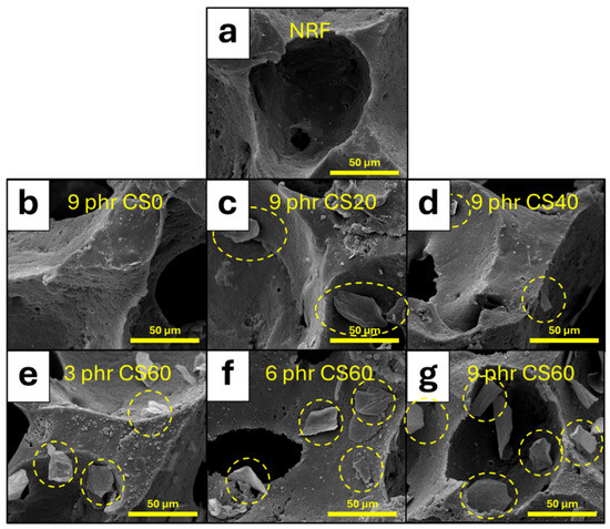Effects of Gamma-Synthesized Chitosan on Morphological, Thermal, Mechanical, and Heavy-Metal ...