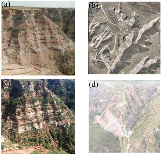 Effect of W-OH Material on Water/Fertilizer Retention and Plant Growth ...