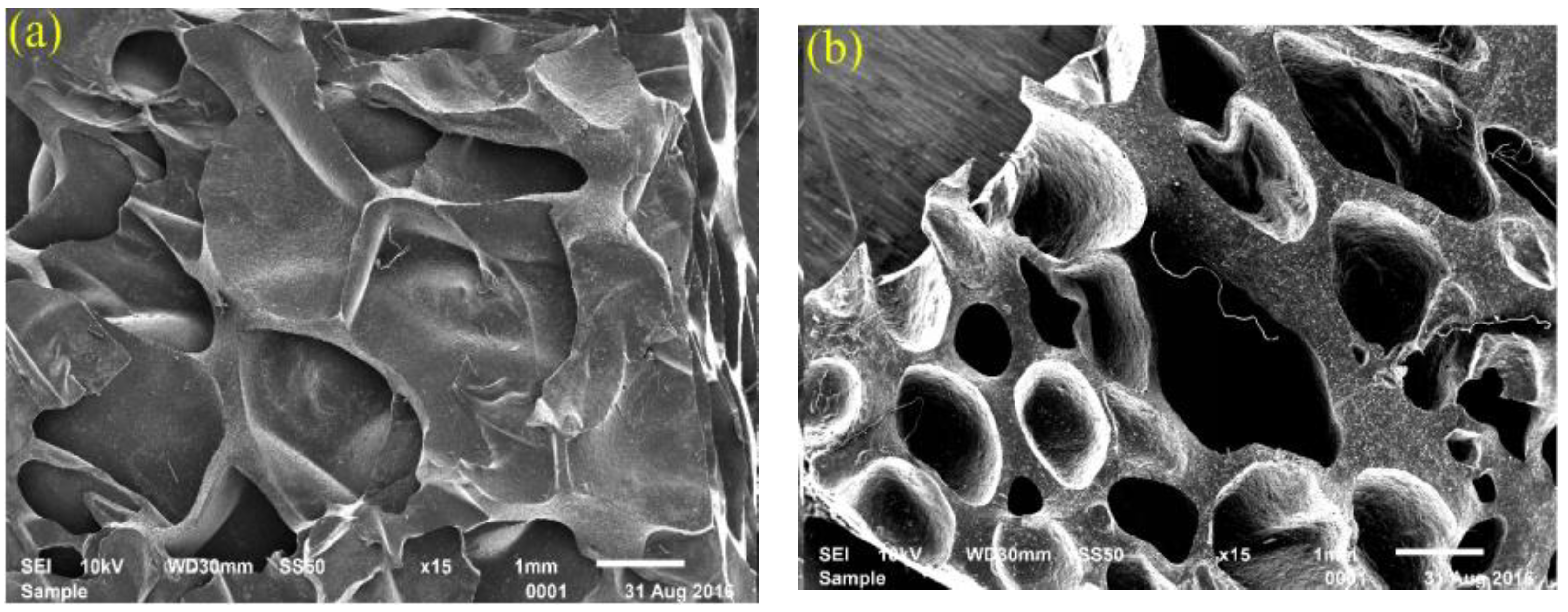 Effect of W-OH Material on Water/Fertilizer Retention and Plant Growth ...
