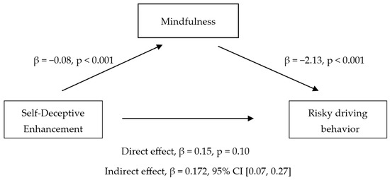 Understanding Risky Behavior in Sustainable Driving among Young Adults ...