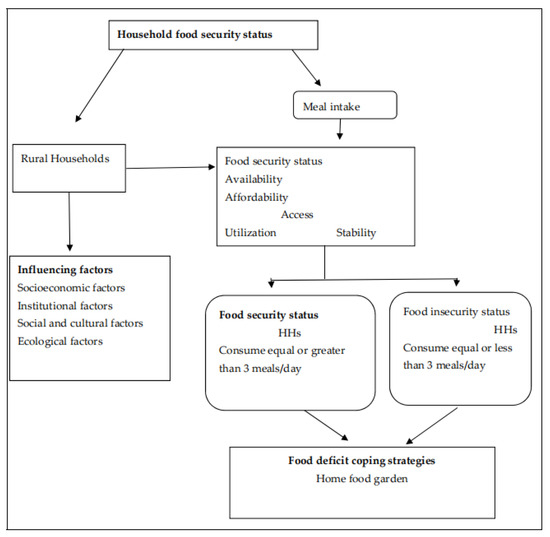 Empowering Rural Food Security in the Eastern Cape Province: Exploring ...