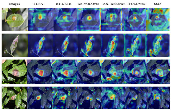 Multiscale Tea Disease Detection with Channel–Spatial Attention
