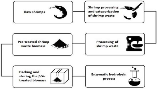 A Review of the Benefits of the Sustainable Utilization of Shrimp Waste ...