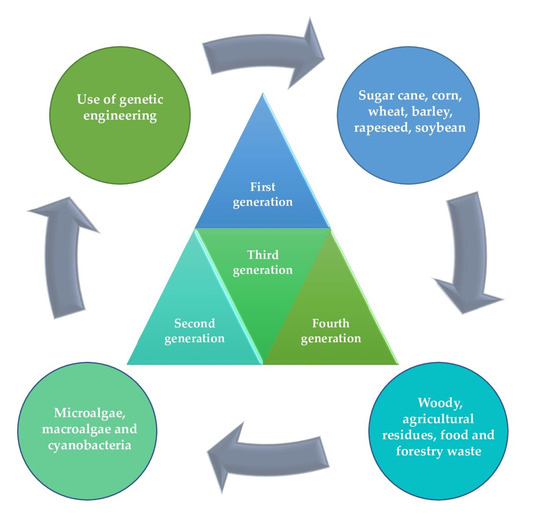 Biomass Energy and Biofuels: Perspective, Potentials, and Challenges in ...
