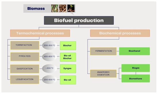 Biomass Energy and Biofuels: Perspective, Potentials, and Challenges in ...