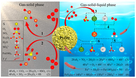 Mechanism and In Situ Prevention of Oxidation in Coal Gangue Piles: A ...