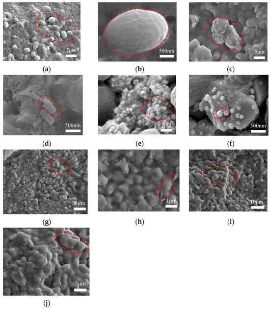 Distribution of Carbon-Sequestering Microbes in Different Habitats and ...