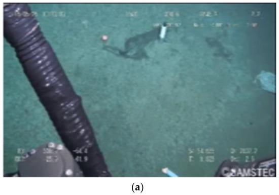 Sustainability | Free Full-Text | Enhancing Underwater Object Detection and Classification Using ...