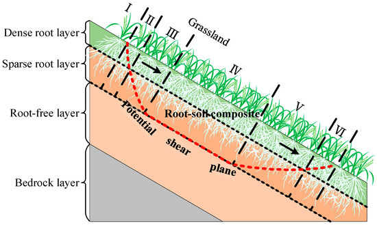Herbaceous Vegetation in Slope Stabilization: A Comparative Review of ...