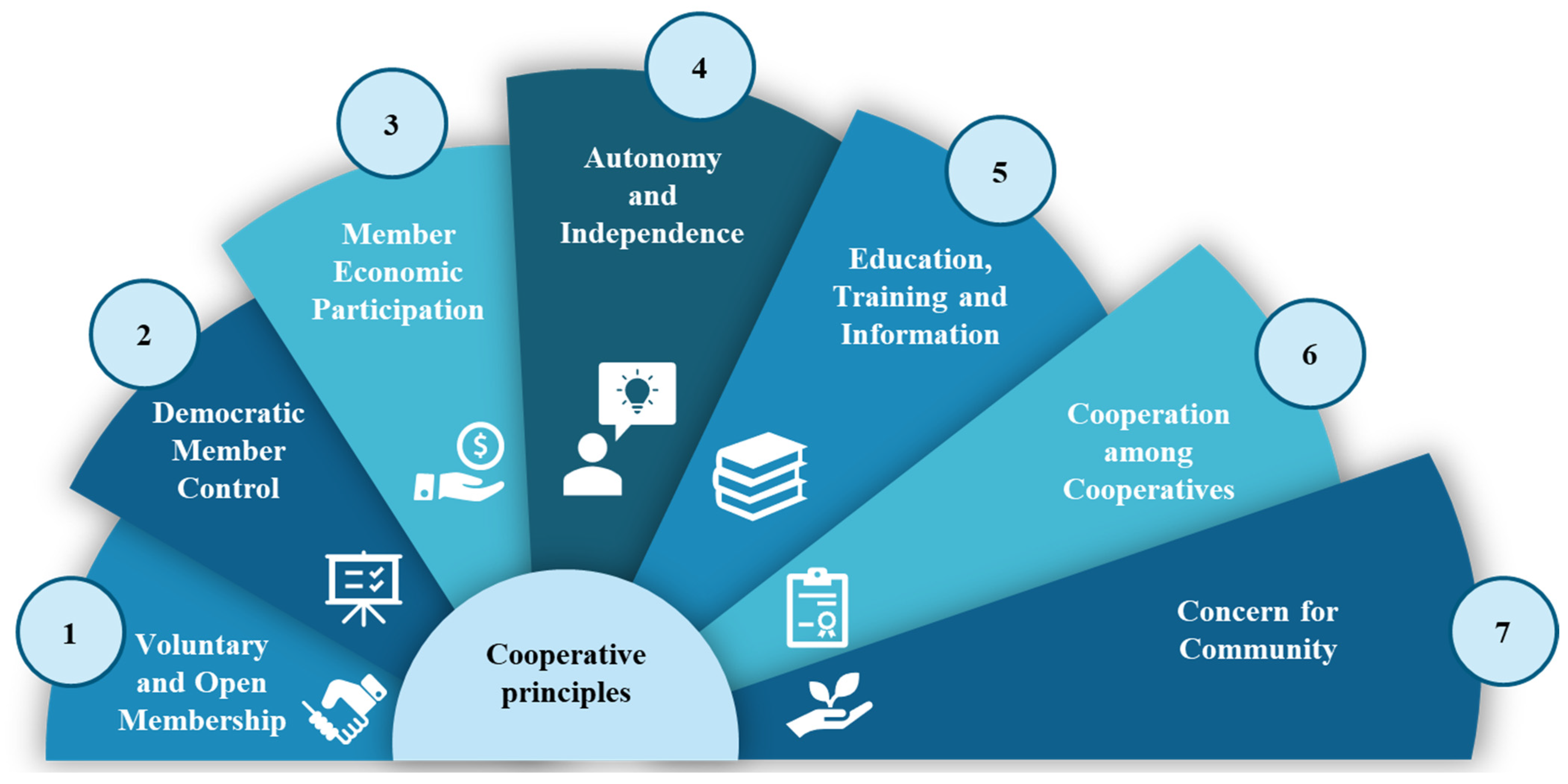 Beyond the Financial Horizon: A Critical Review of Social ...