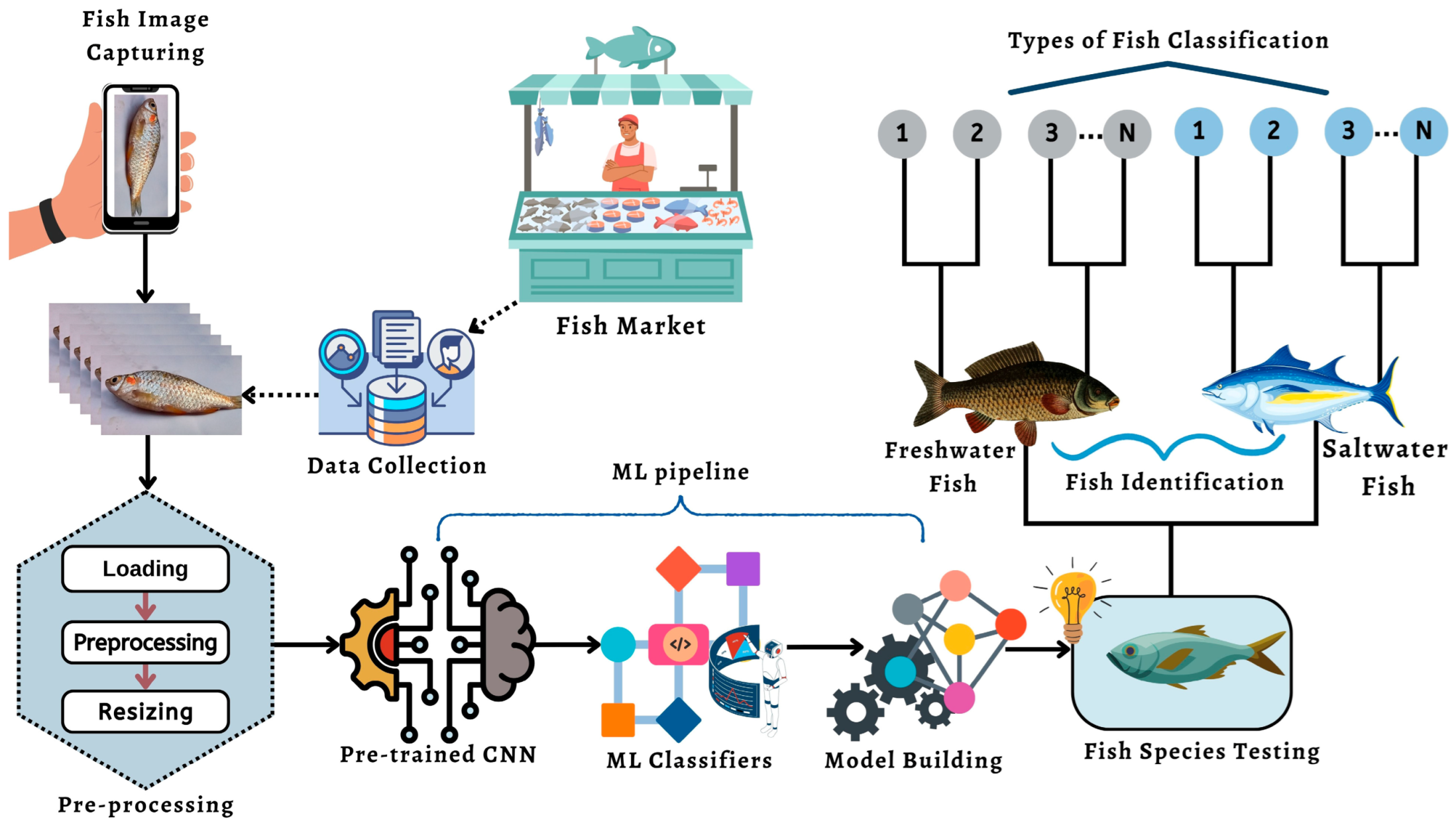 A Deep CNN-Based Salinity and Freshwater Fish Identification and Classification Using Deep ...
