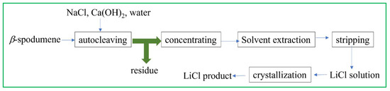 Aspects of Spodumene Lithium Extraction Techniques