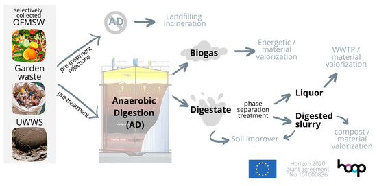 Innovative Circular Biowaste Valorisation—State of the Art and Guidance ...