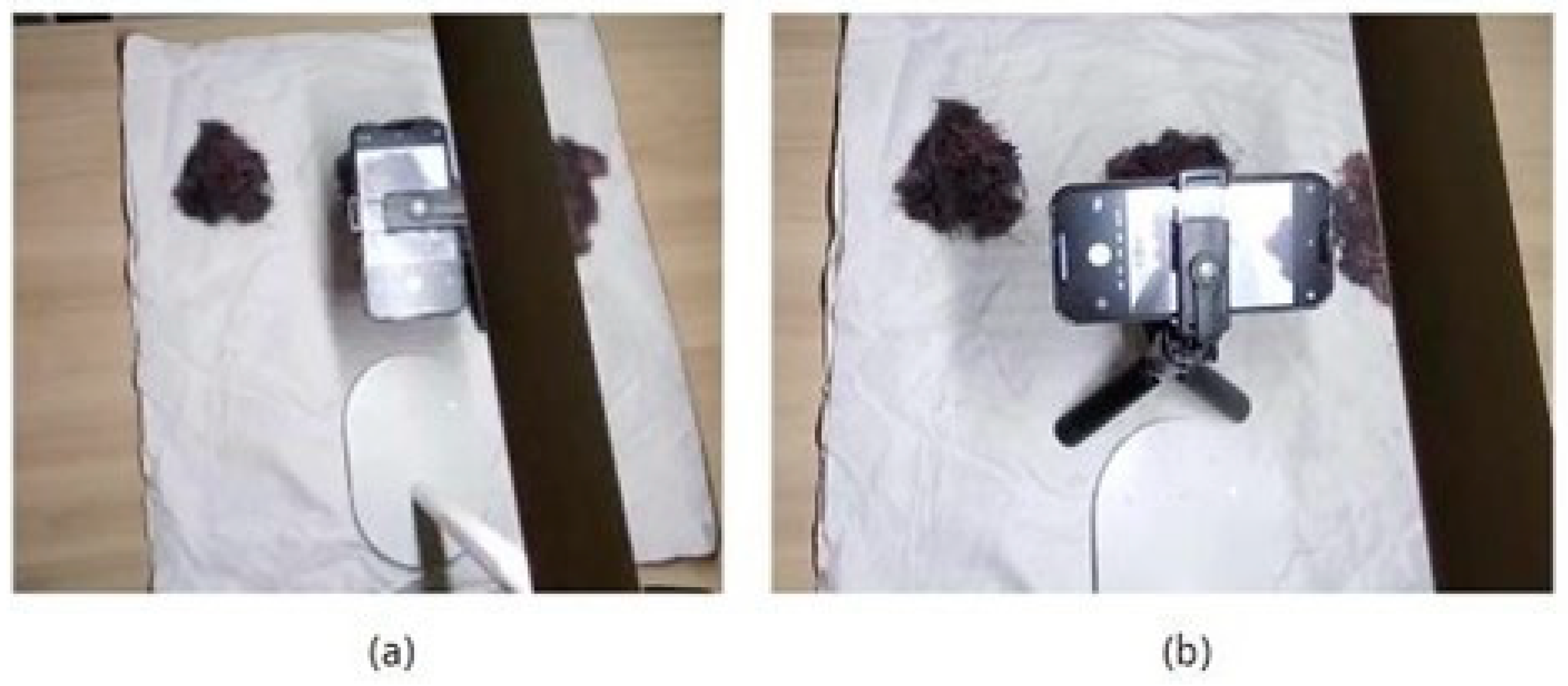 A Computer Vision Model for Seaweed Foreign Object Detection Using Deep ...