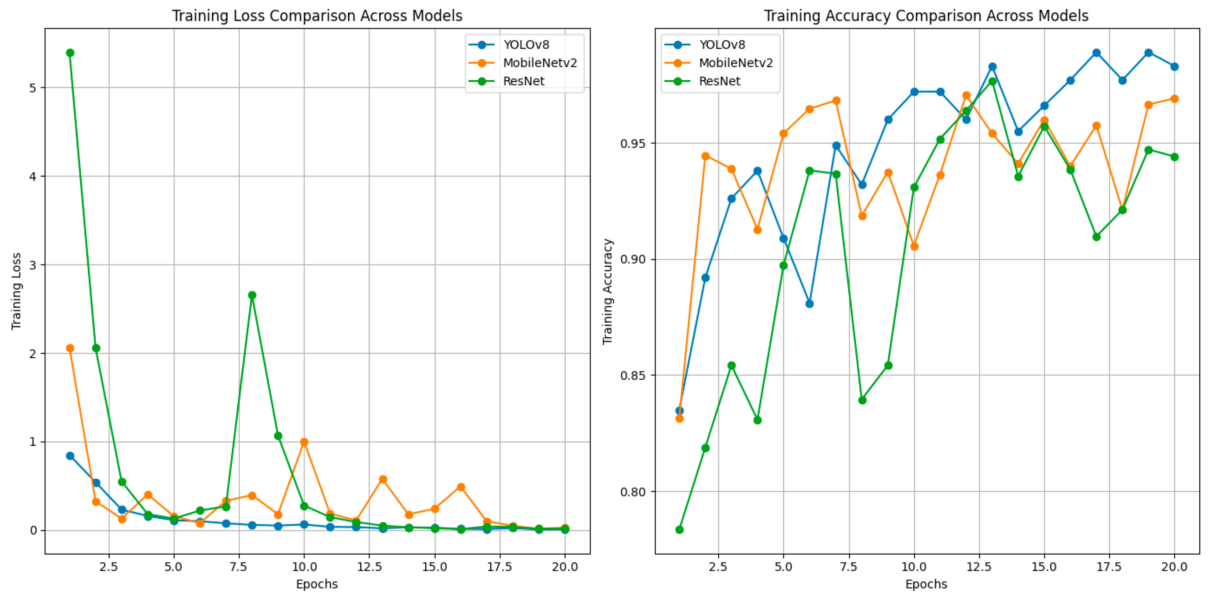 A Computer Vision Model for Seaweed Foreign Object Detection Using Deep Learning