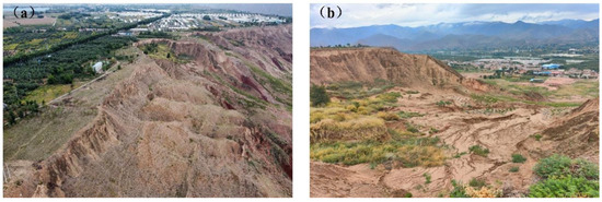 Study on the Sand Reduction Effect of Slope Vegetation Combination in ...