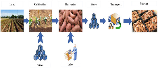 Optimizing the Sweet Potato Supply Chain in Zimbabwe Using Discrete ...
