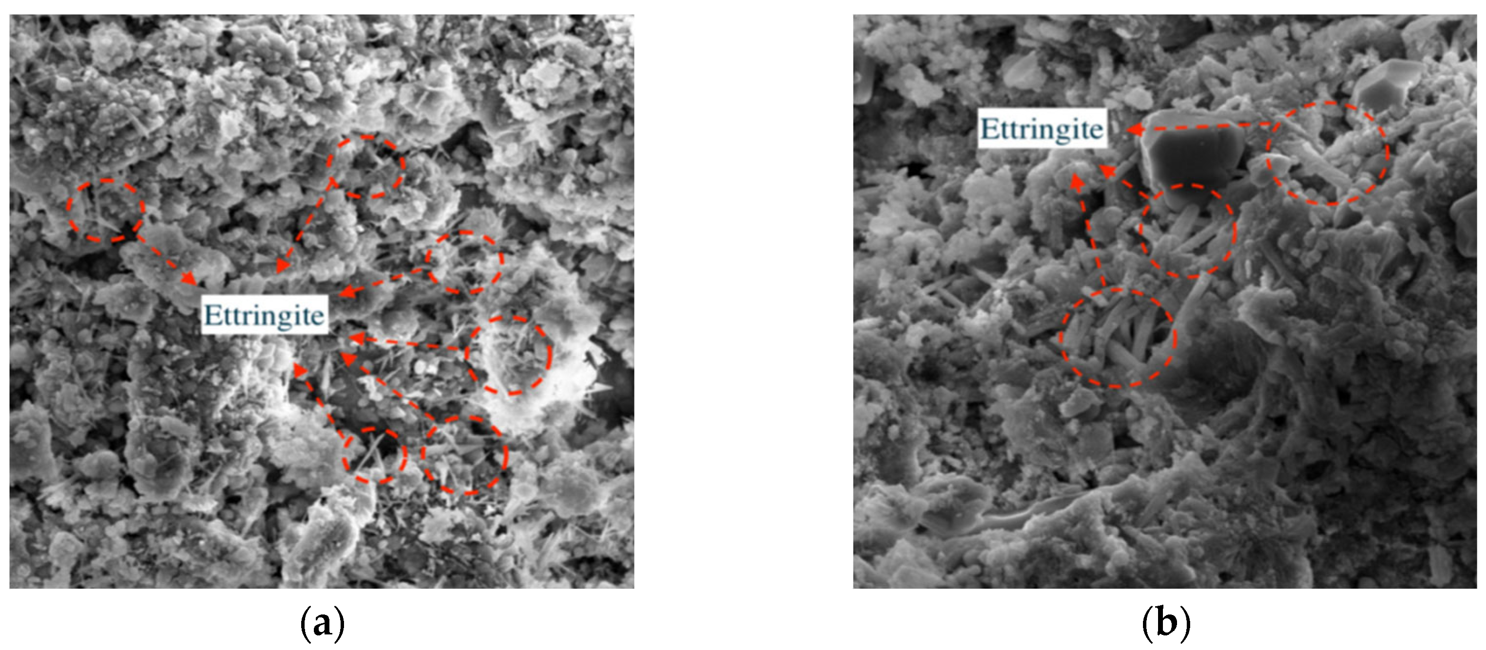 Research Progress on the Activity Stimulation of Lithium Slag in Concrete