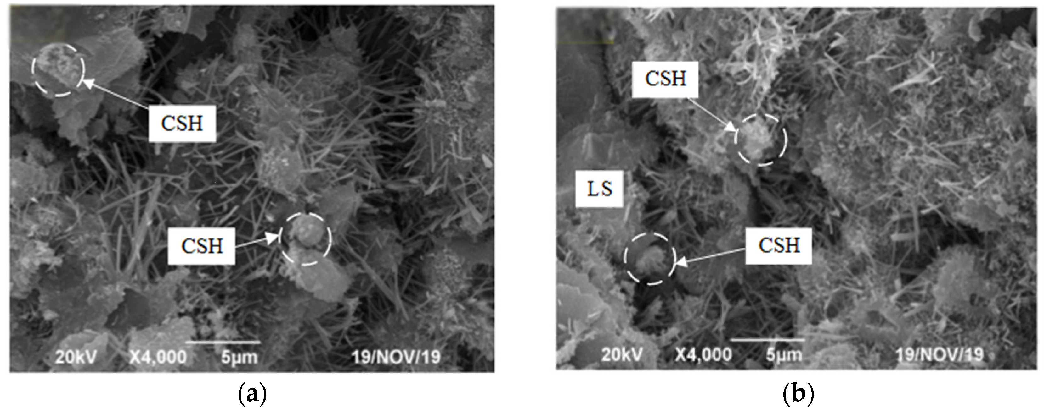 Research Progress on the Activity Stimulation of Lithium Slag in Concrete
