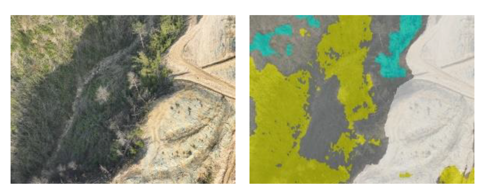 Study on the Evolutionary Characteristics of Post-Fire Forest Recovery ...