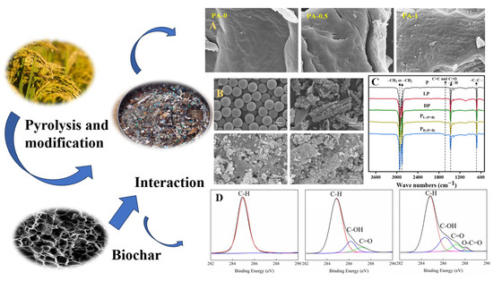 The Removal and Mitigation Effects of Biochar on Microplastics in Water ...
