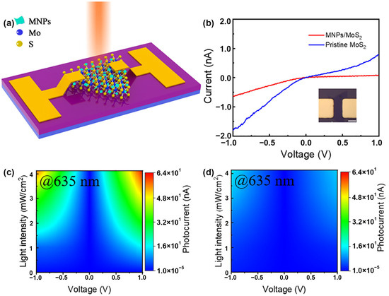 Two-Dimensional MoS2-Based Photodetectors