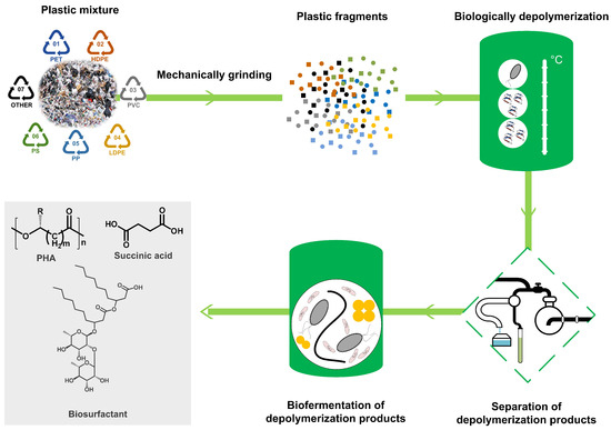 Sustainable Solutions Through Innovative Plastic Waste Recycling ...