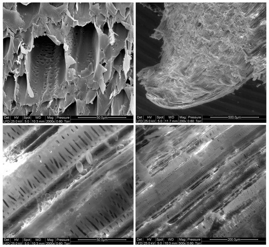 Optimizing Hempcrete Properties Through Thermal Treatment of Hemp Hurds ...