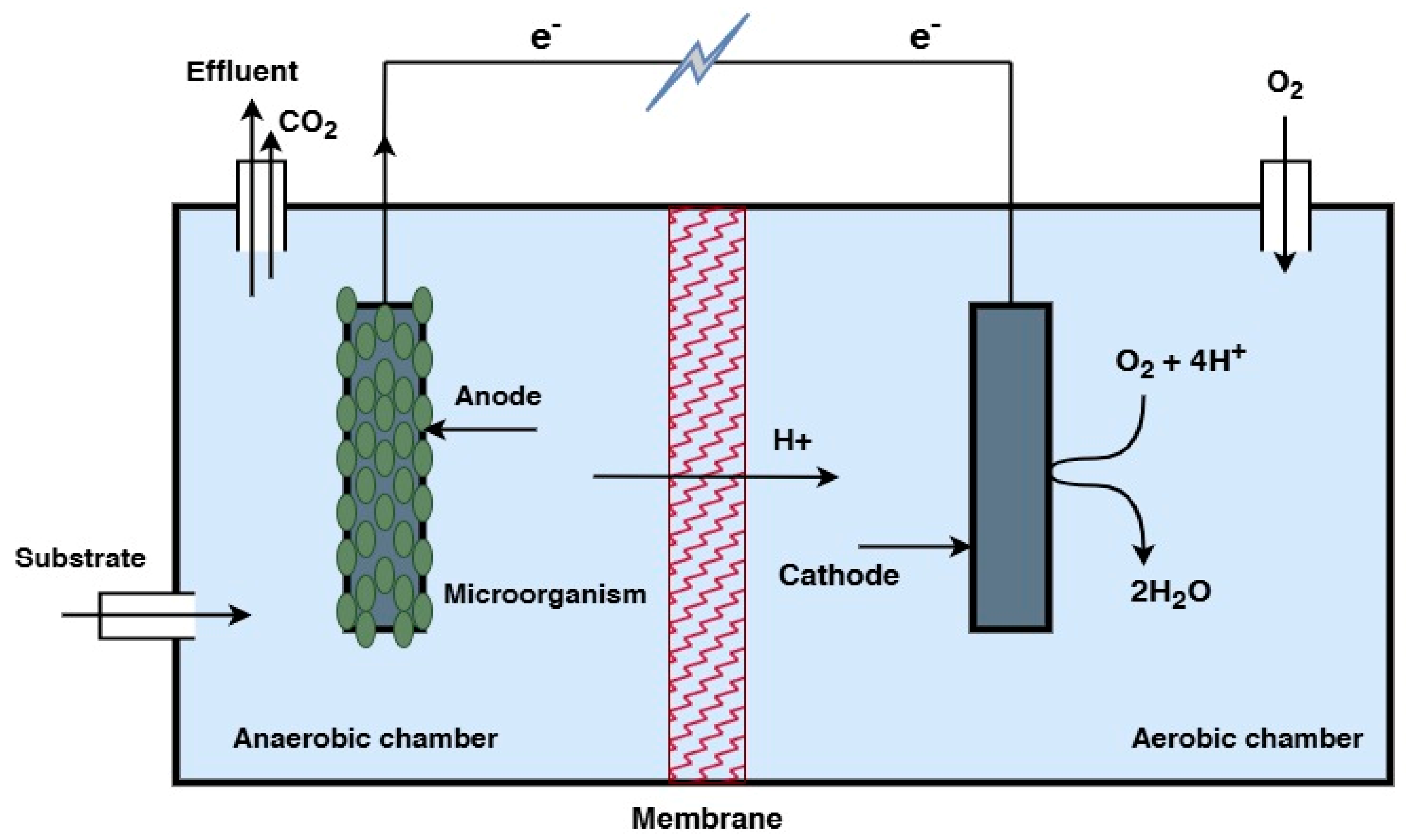 Overview of Sustainable Water Treatment Using Microbial Fuel Cells and ...