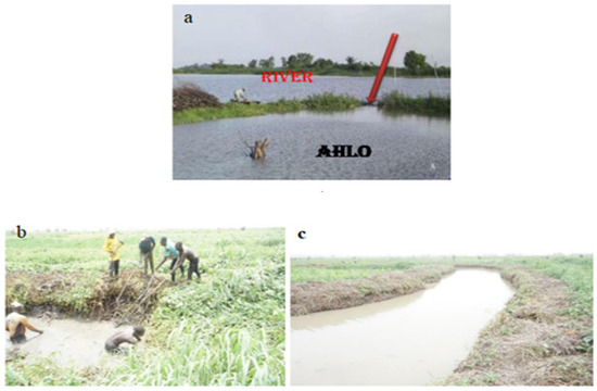 Traditional Fish Hole Aquaculture System in Benin: Status, Challenges ...