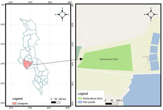Exploration of Agronomic Efficacy and Drought Amelioration Ability of ...