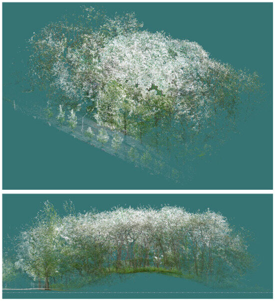 Accuracy Assessment of Advanced Laser Scanner Technologies for Forest Survey Based on Three ...