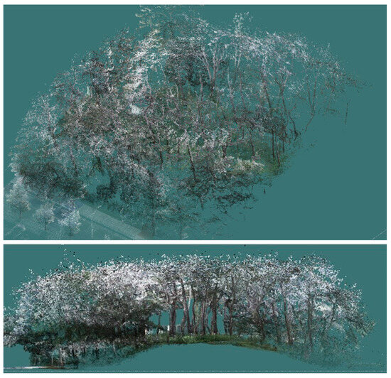 Accuracy Assessment of Advanced Laser Scanner Technologies for Forest ...