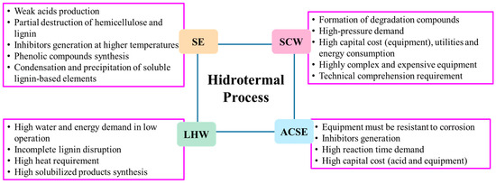 Technical, Economic and Environmental Assessment of Xylitol Production ...