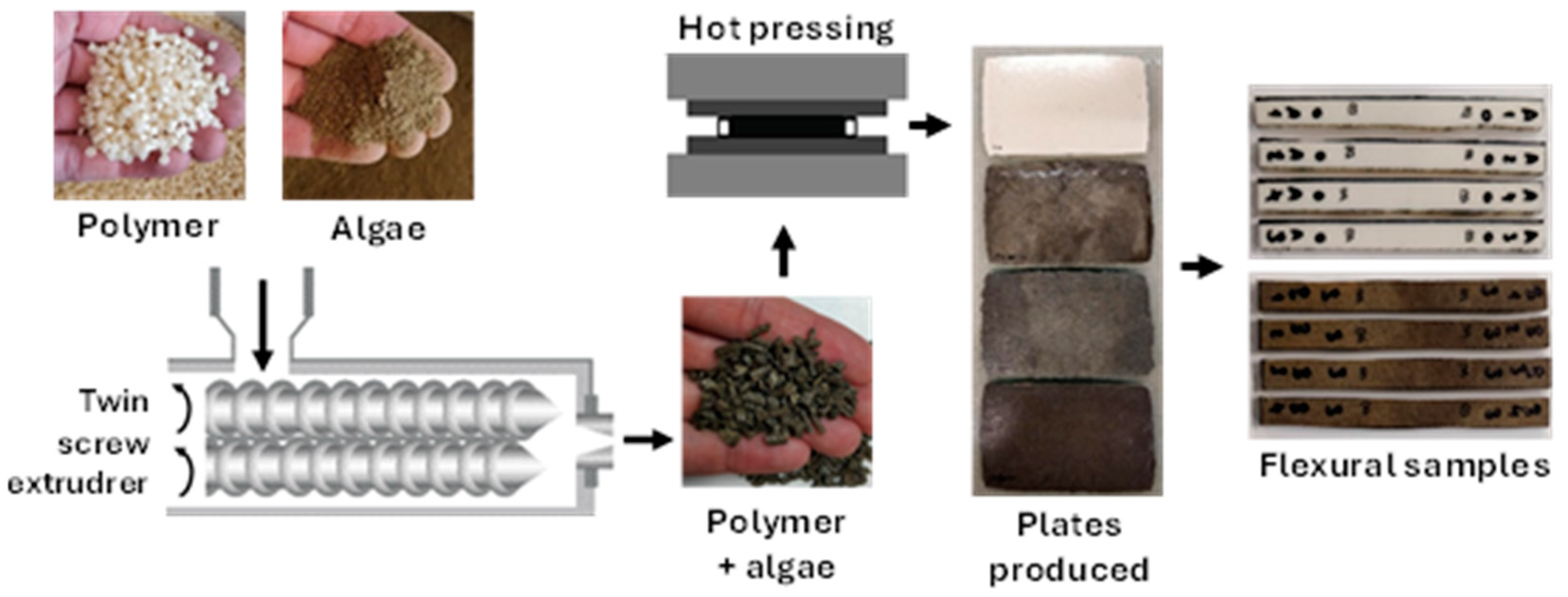 Bio-Inspired Eco-Composite Materials Seaweed Waste Integration for ...