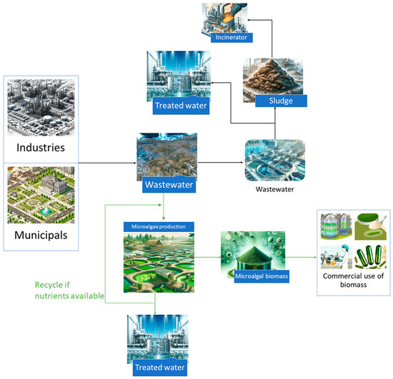 Microalgal Bioeconomy: A Green Economy Approach Towards Achieving Sustainable Development Goals