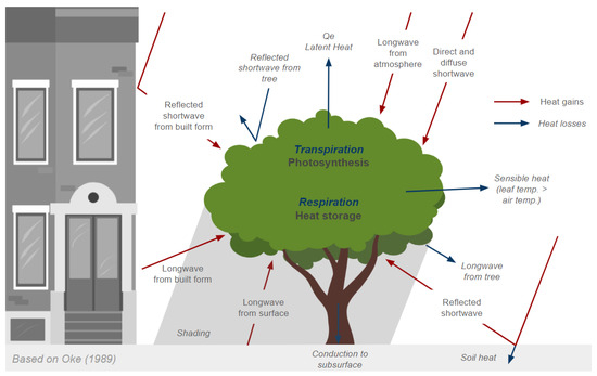 Understanding Urban Cooling of Blue–Green Infrastructure: A Review of ...