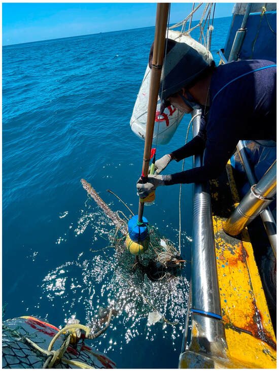 Decoding Factors to Fishing for Litter: A Game-Changer for Engaging ...