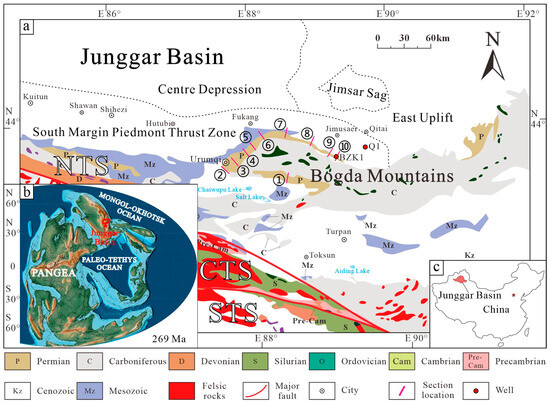 Organic Geochemical Characteristics and Hydrocarbon Significance of the ...