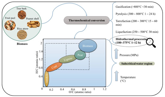 Biomass Hydrochar: A Critical Review of Process Chemistry, Synthesis Methodology, and Applications